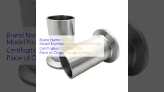 SS304 Stainless Steel Stub End Corrosion Resistant Fitting