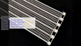 Durable Stainless Steel Wire Mesh Conveyor Belt Solutions