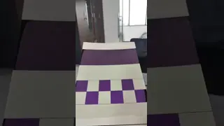 Chameleon Purple and Green