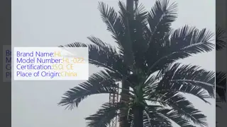 Camouflaged Palm Tree Telecom Tower Withstands 290km hr Winds