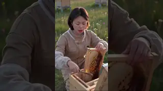 Pure Natural Bush Forest Honey 100 Percent Raw