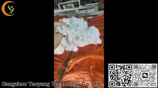 Polyester staple fiber 10