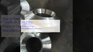 High Quality F316L Stainless Steel Weldolet Fittings