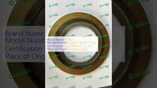 SS316 Graphite Spiral Wound Gasket ASME B16 20 Solution