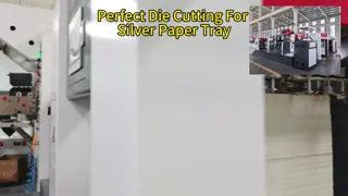 Perfect Die Cutting for Silver Paper Tray