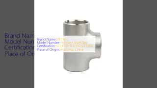 Durable Stainless Steel Tee Pipe Fittings 304 316L