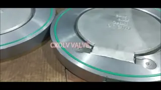 Single Plate Swing Wafer Check Valve Viton Seat
