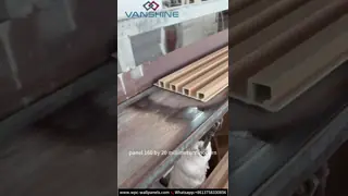 160×20mm Indoor WPC Wall Panel