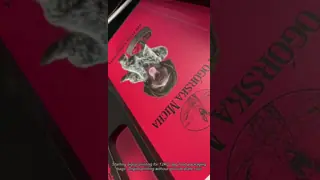 Digital Printing Process for 12KG Large Dog Food Bags | Small Batch Custom Pet Pouches