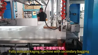 Fully auto packaging machine with secondary bagging bottle