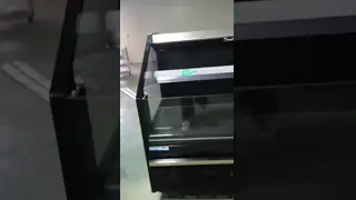 PHEA Semi Vertical Display Fridge Compact Retail Solution