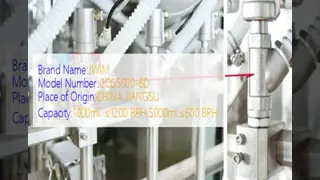 High Precision Servo Piston Filling Machine CCG5000 6D