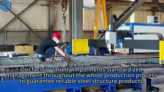 Modern Steel Grain Storage Warehouse