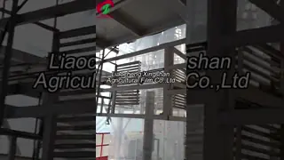 Long-Life Agricultural Plastic Film