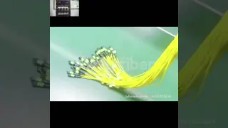 288F MPO MTP patchcord