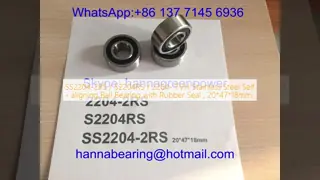 SS2204 2RS Stainless Steel Self Aligning Ball Bearing