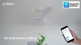 52 Inch Modern White Ceiling Fan with Silent DC Motor and 3 ABS Blades
