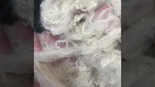 Recycled Off White Low Melting Point Fiber 4D×51mm, Hot Melt Staple Fiber for Composite Materials
