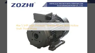 Industrial Hollow Shaft Motor For Water Pumps
