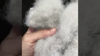 Raw White 70D 72MM Polyester Staple Fiber, Low Fly Waste Fiber for Continuous Hard Cotton Production