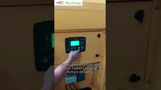 Factory commissioning & testing of generator set
