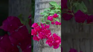 Custom Stainless Steel Flower Sculpture Art