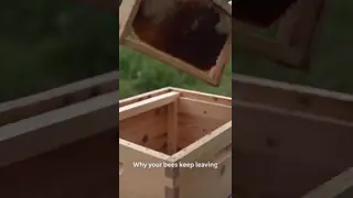 Easy Honey Harvesting With The Flow Hive Plus System