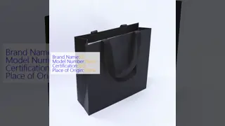 Custom Luxury Gift Bags for Skincare and Boutique Brands
