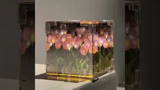 Two-way Mirror Acrylic Sheet