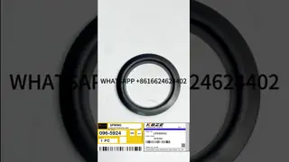 KBZE SWING MOTOR BLOCK SPRING LSM0080 156080A1 LG008410 096-5924 FOR JCB SUMITOMO CASE CAT JS205 JS2