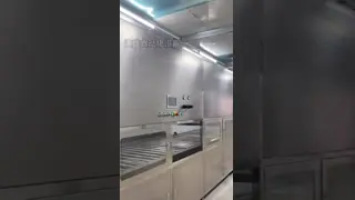 Intelligent Ceramic Tile Spraying Line Coating Solution