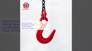 Heavy Duty G80 Lifting Chain Sling Industrial Grade