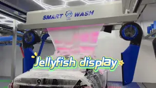 YTC S360pro Touchless Car Wash System