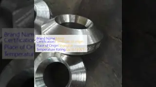 Premium 316L Stainless Steel Threadolet ASME Certified