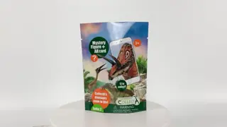 Custom Printed Aluminum Foil  Mylar Stand Up Pouches for Your Brand