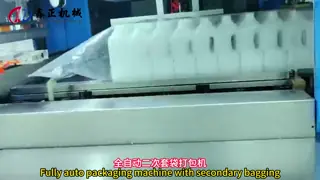 Secondary Bagging Packing Machine for Milk Bottles