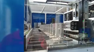 Zhihui Automatic Glove Unloading and Packaging Machine