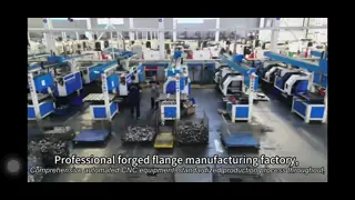 Professional Forged Flange Origin Manufacturing Factory