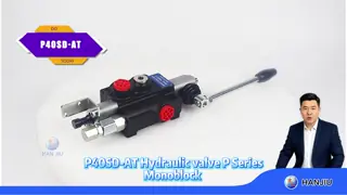 P40SD-AT Hydraulic Directional Control Valve