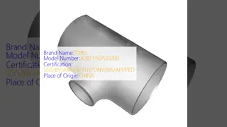Super Duplex Barred Tee ASME B6  Piggable Pipe Fitting