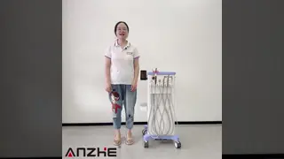 Portable Mobile Dental Unit with Built In Air Compressor Woodpecker Ultrasonic Scaler LED Curing Lig