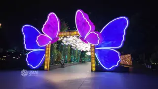 Giant Marine Animal Lantern Installation For Night Light Festival