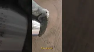 Precision Socket Weld Branch Connections (Sockolets)