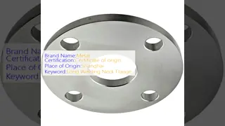 Super Duplex S32750 Forged Flanges for Oil and Gas