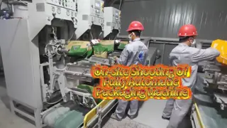 Industrial Valve Bag Filling Machine 25kg Powder Packing