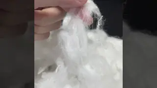 1.5D*38MM Cross‑Section White Graphene Polyester Staple Fiber, Durable Hygienic Performance for Unde