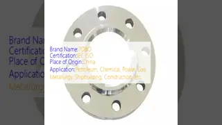 Custom Forged Carbon Steel Flanges CNC Machined Parts