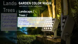 Professional RGBW LED Outdoor Wall Wash Light