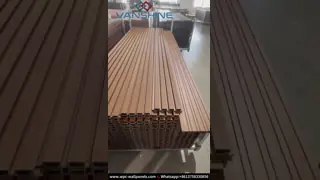 Co-extrusion WPC Wall Panel
