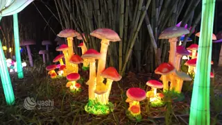 Colorful Mushroom Festival Lantern For Forest Night Show